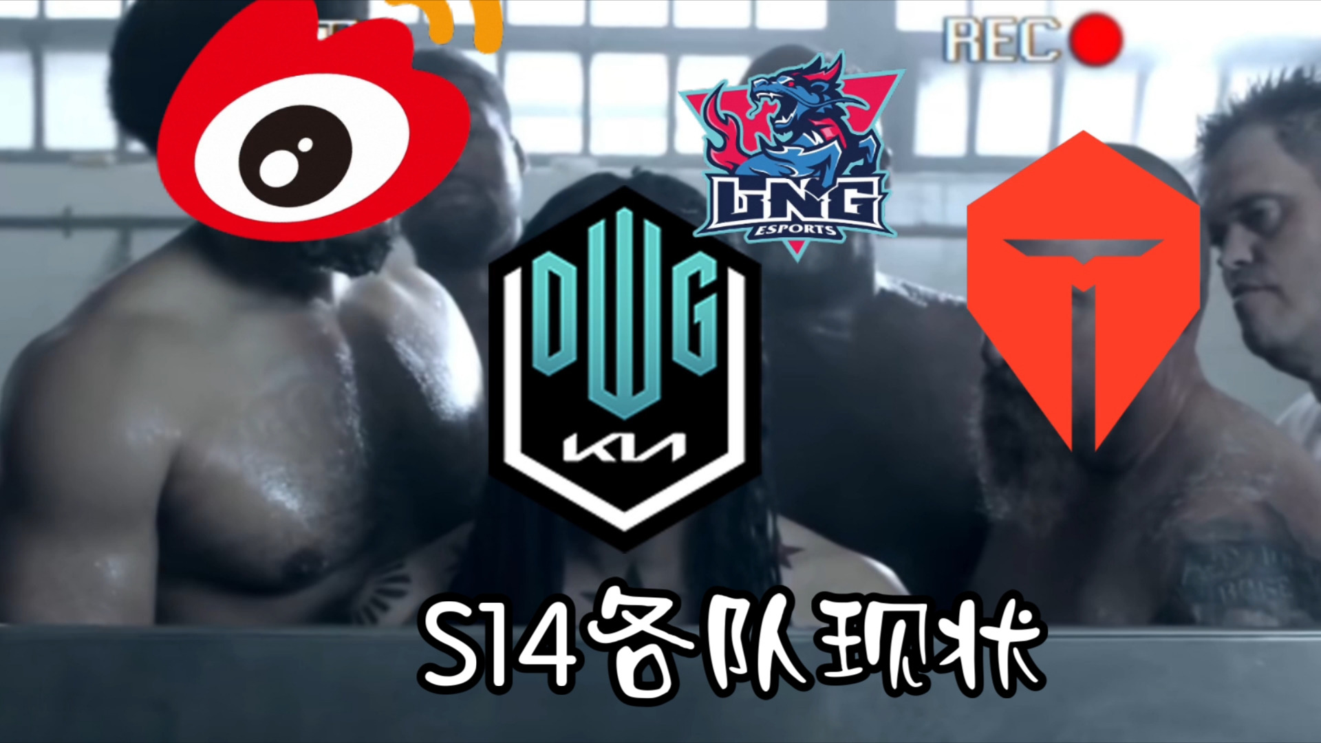 S14各队现状-一只青娥-一只青娥-哔哩哔哩视频