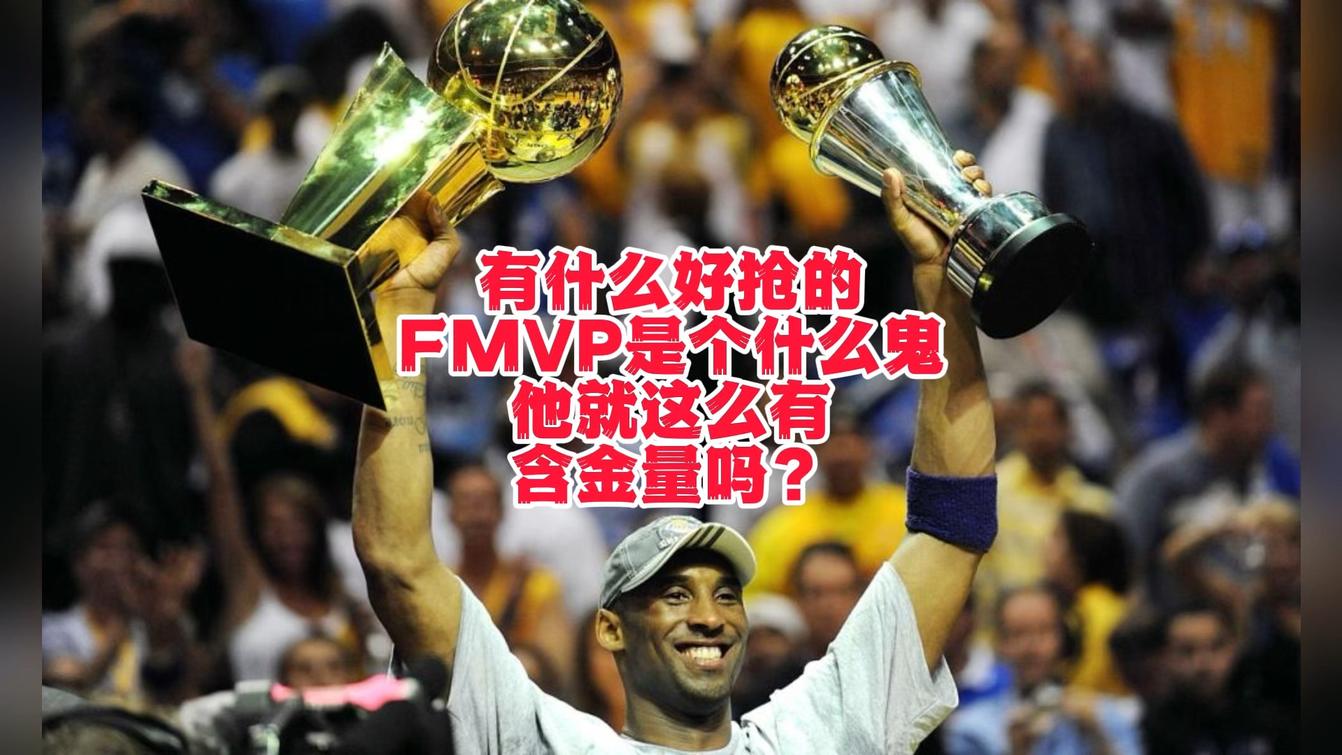 fmvp是个什么鬼？这玩意真就这么香吗？球员的终极目标是总冠军！-鲲雲的名人堂-鲲雲的名人堂-哔哩哔哩视频