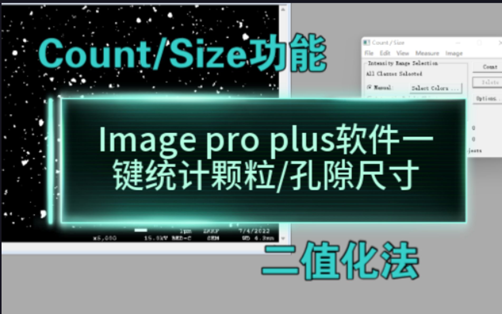 Image Pro Plus进行Masson染色统计