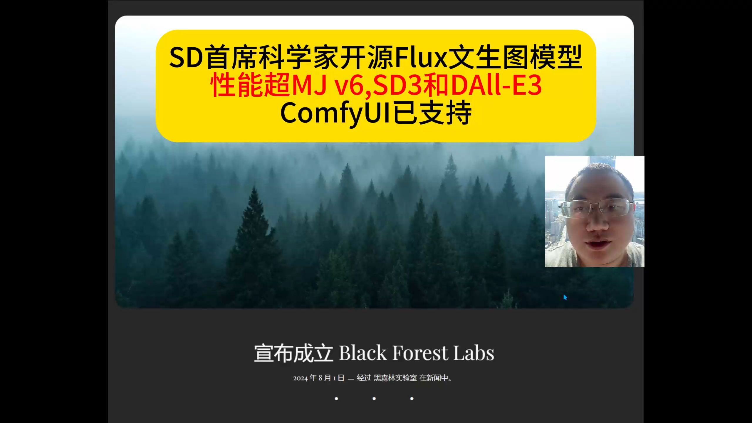 SD首席科学家开源Flux文生图模型 性能超MJv6,SD3和DAllE3 ComfyUI已支持-龙哥ai炼丹-龙哥ai炼丹-哔哩哔哩视频