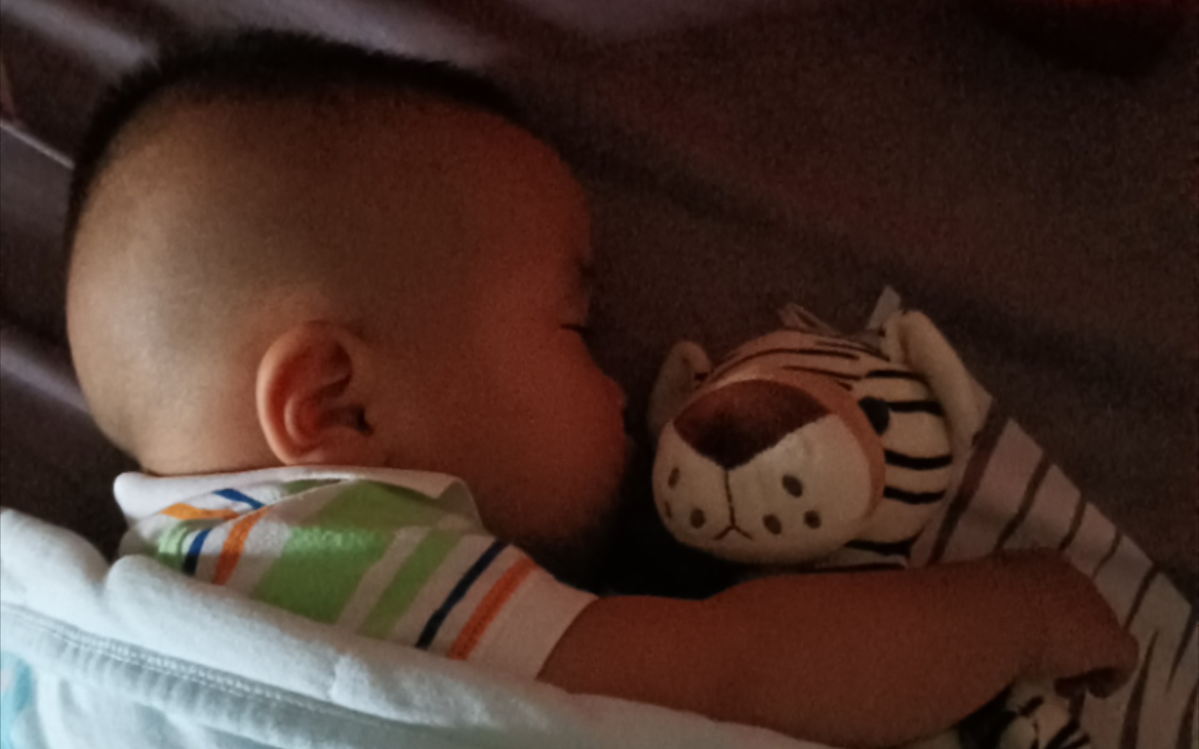 zzzzzz_哔哩哔哩_bilibili