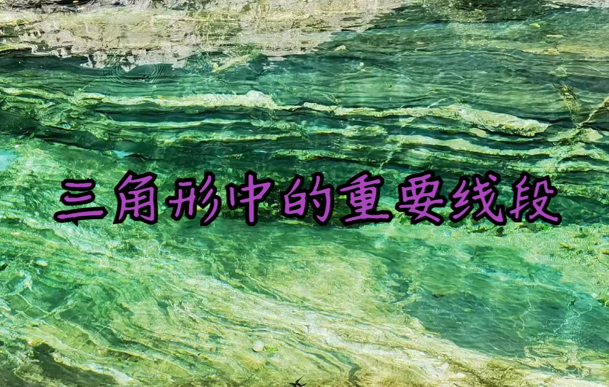三角形中的重要线段哔哩哔哩bilibili