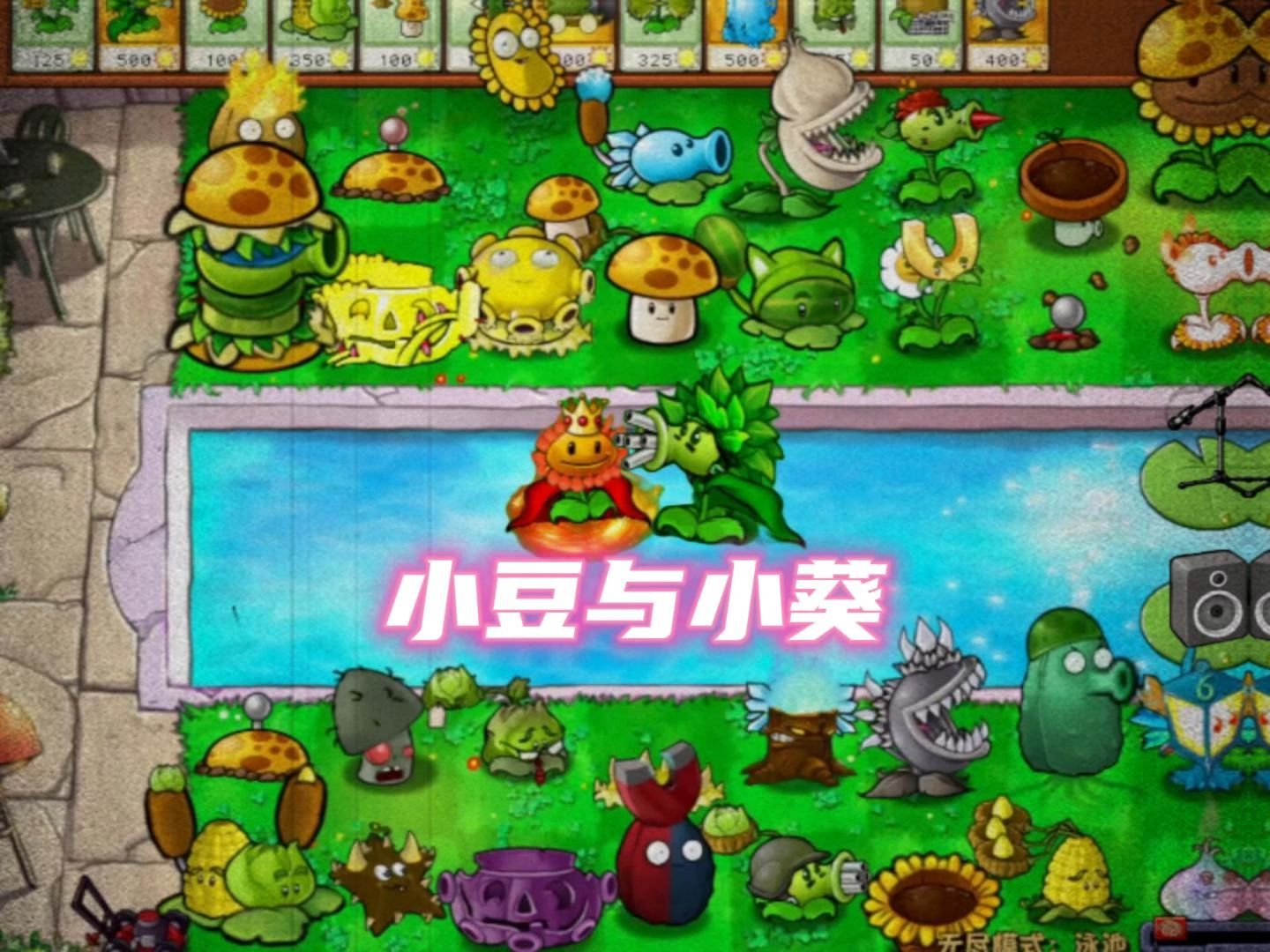 我可能不聪明 但我知道爱情是什么-美味猫煲biubiu-美味猫煲biubiu-哔哩哔哩视频