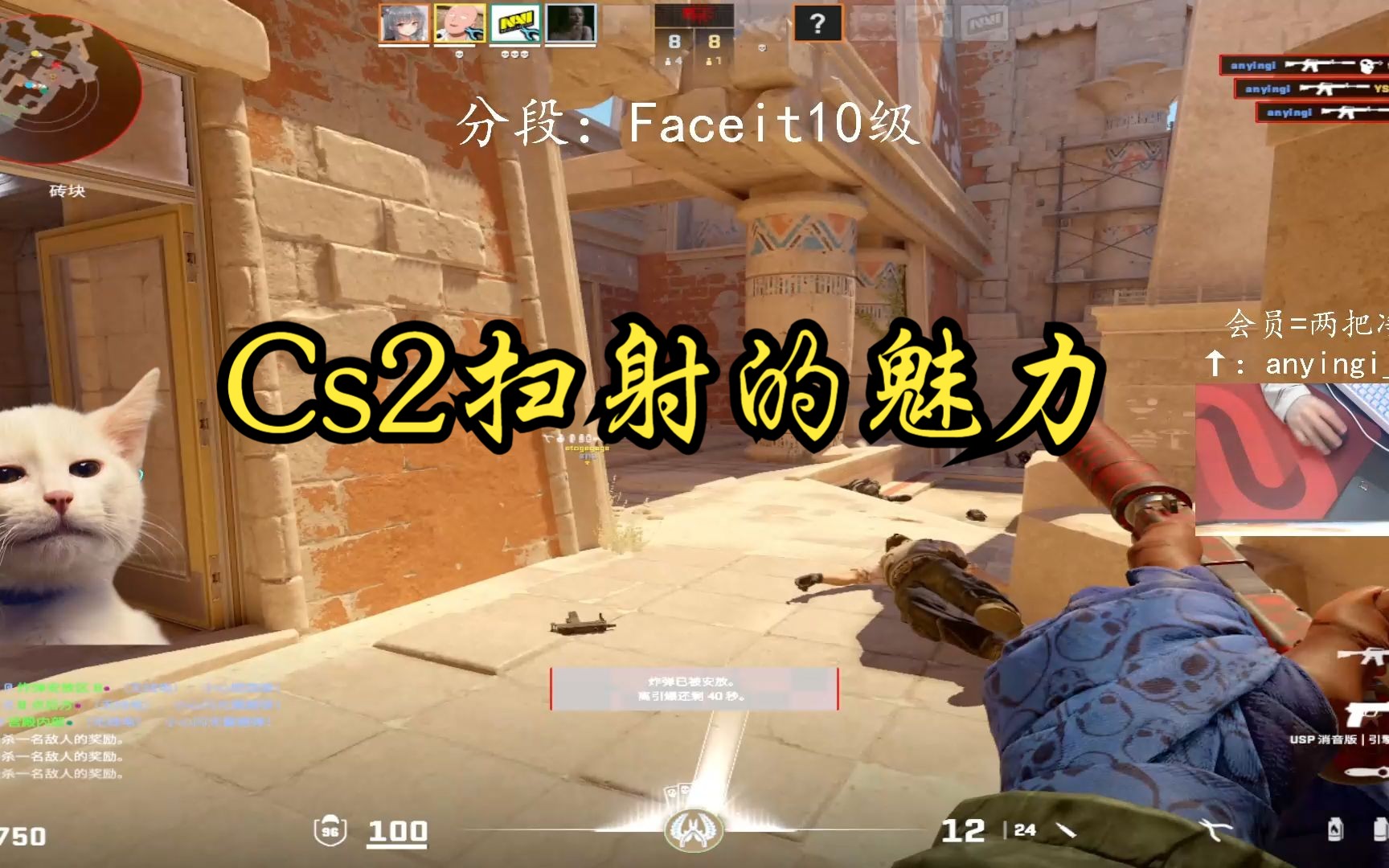 永远保持期待，永远为之热爱 ！-Anyingi_Csgo-Anyingi_Csgo-哔哩哔哩视频