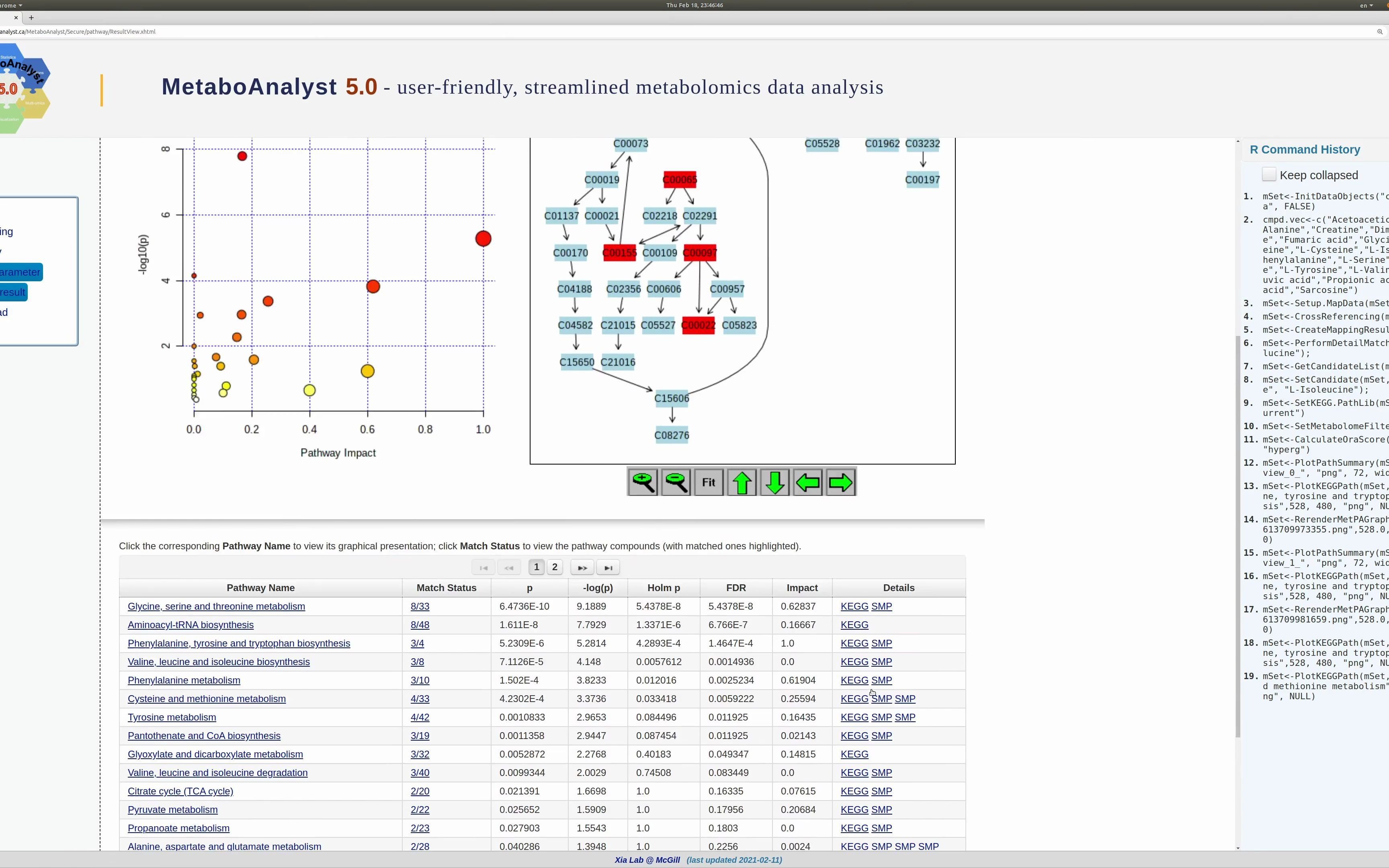 MetaboAnalyst 5.0 - Pathway Analysis_哔哩哔哩_bilibili