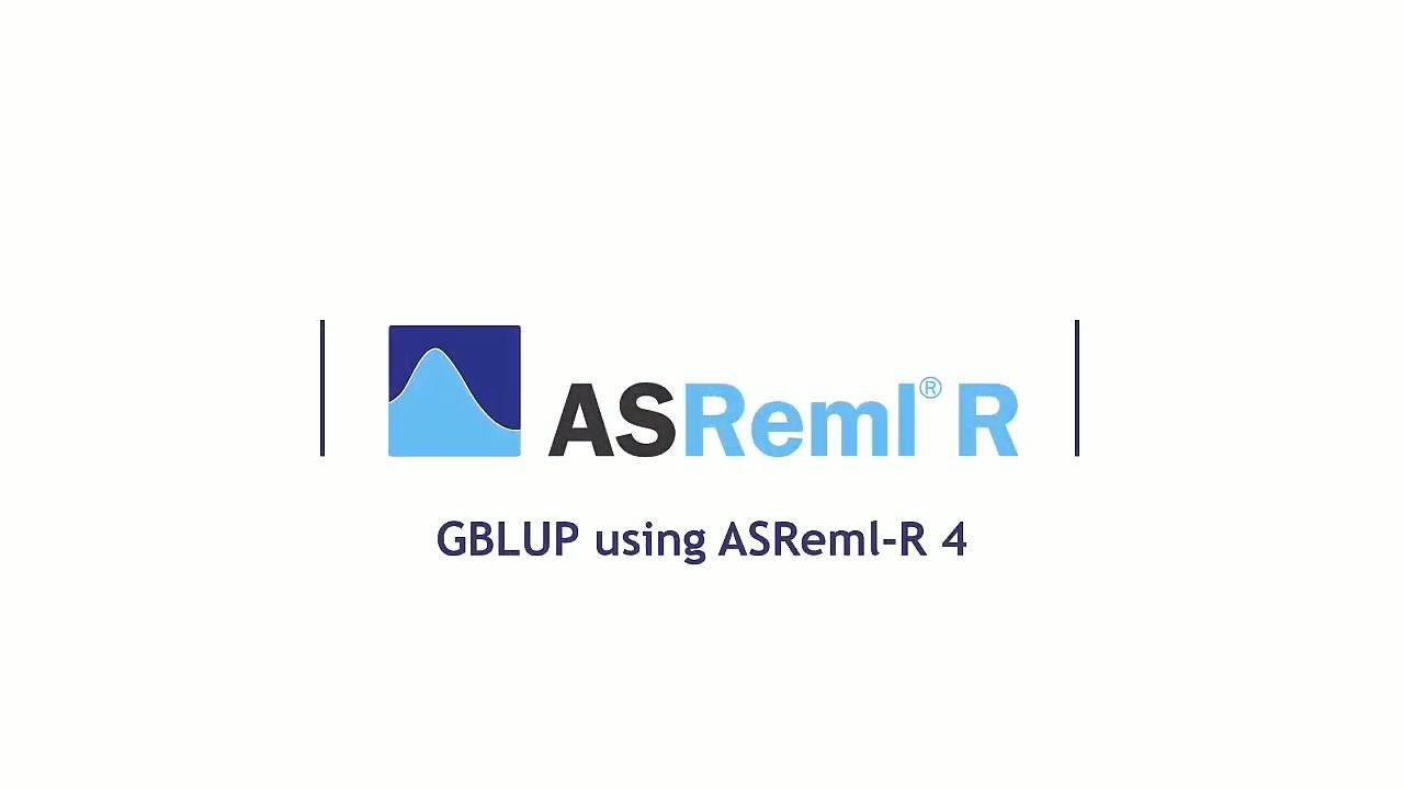 如何用ASReml R4做GBLUP分析？-vsnc软件-vsnc软件-哔哩哔哩视频