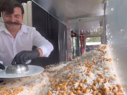 雷诺豪华盖浇饭-shadbase_ig-shadbase_ig-哔哩哔哩视频