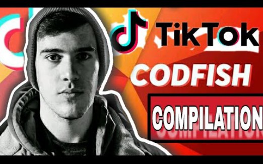 Codfish的Tiktok TOP5合集_哔哩哔哩 (゜-゜)つロ 干杯~-bilibili