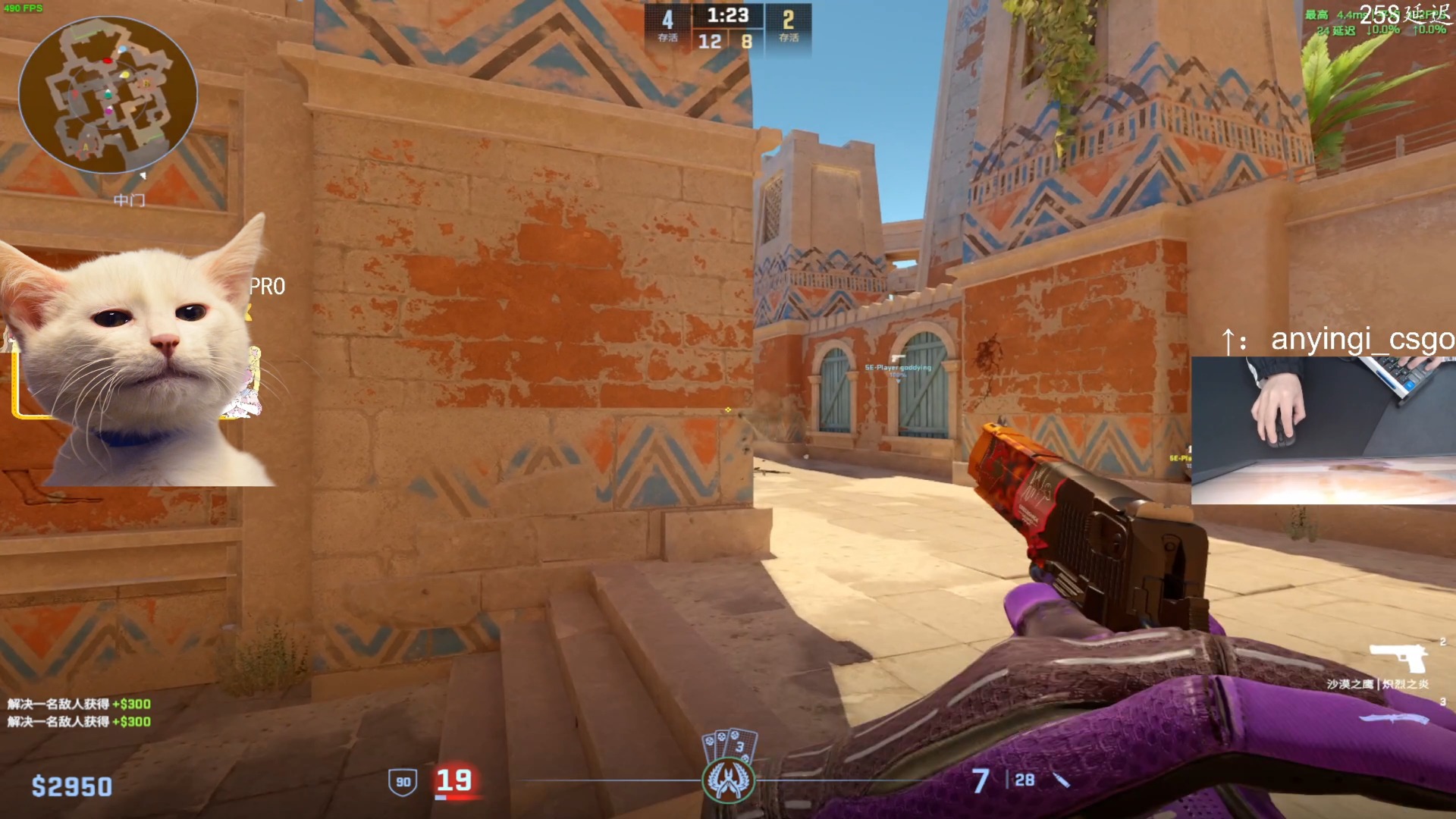 集锦高手-Anyingi_Csgo-Anyingi_Csgo-哔哩哔哩视频