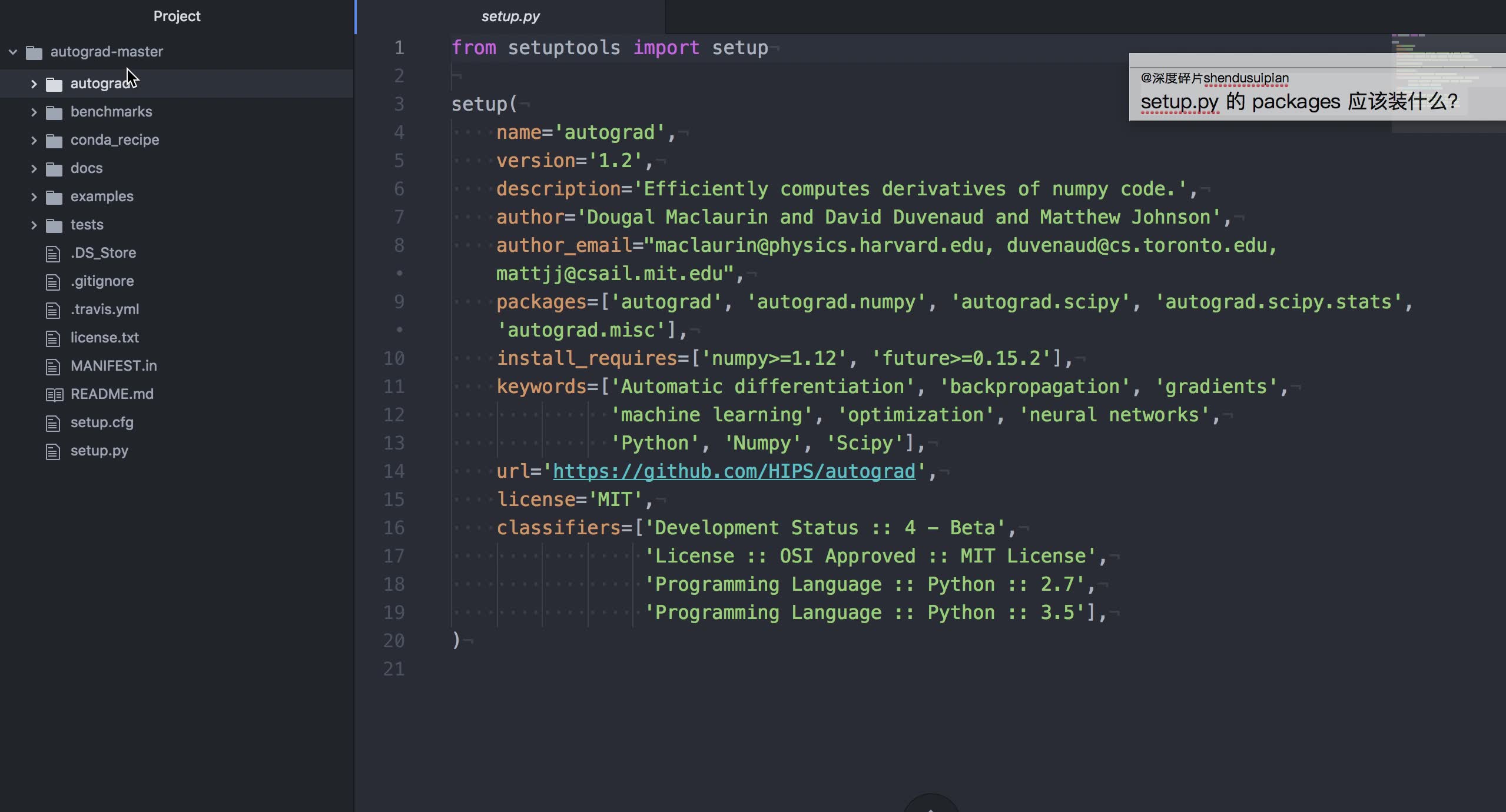 autograd setup.py 安装了什么_哔哩哔哩_bilibili