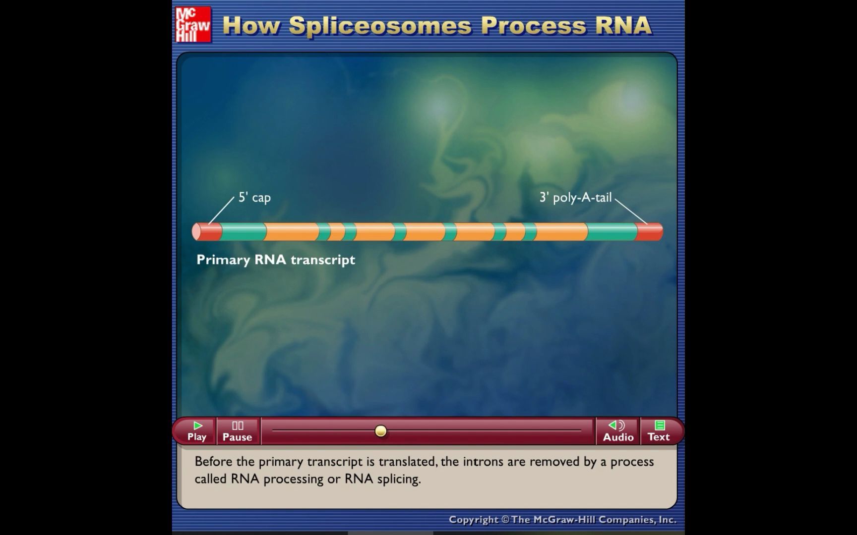 RNA剪接成成熟的mRNA的过程-How Spliceosomes Process RNA-动画_哔哩哔哩_bilibili