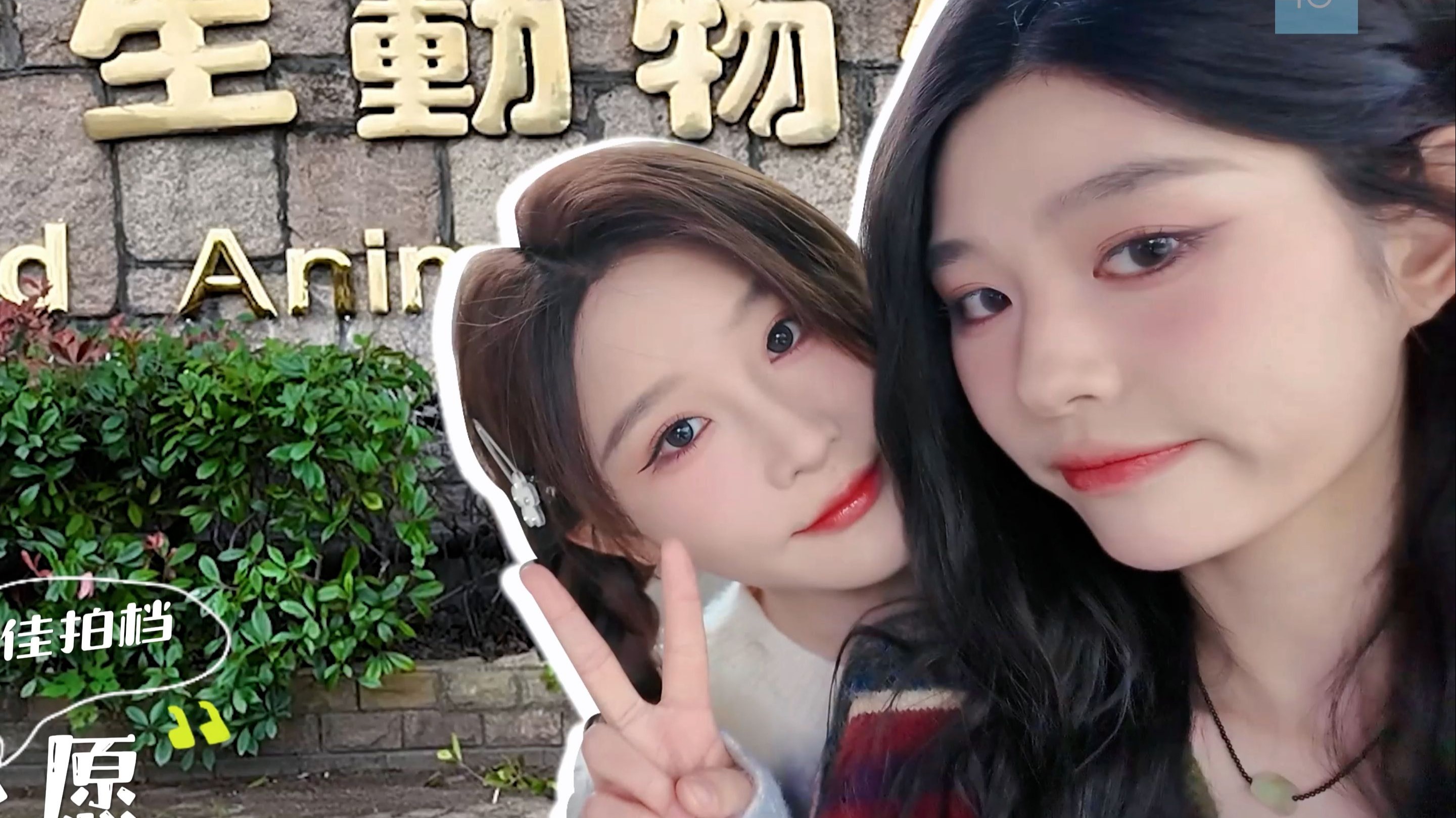 【王奕 周诗雨】SNH48 GROUP最佳拍档第三季一日心愿-不落幕的双人舞-默认收藏夹-哔哩哔哩视频