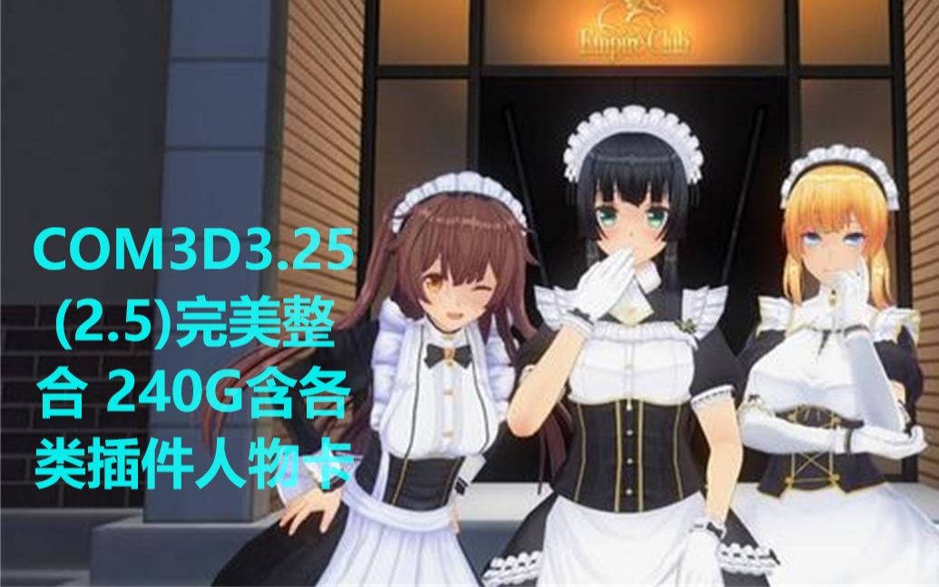 【整合】3D定制女仆2/com3d2 整合完美分享 240G