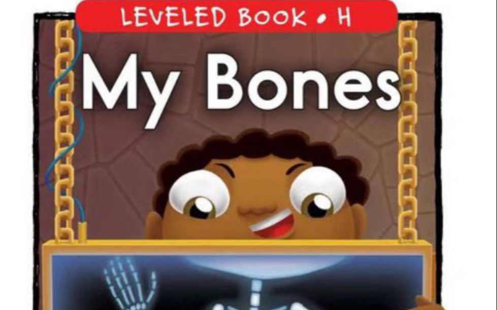 RAZ(H) My Bones (irregular, joints, skeleton, cartilage, vertebrate, framework)_哔哩哔哩_bilibili