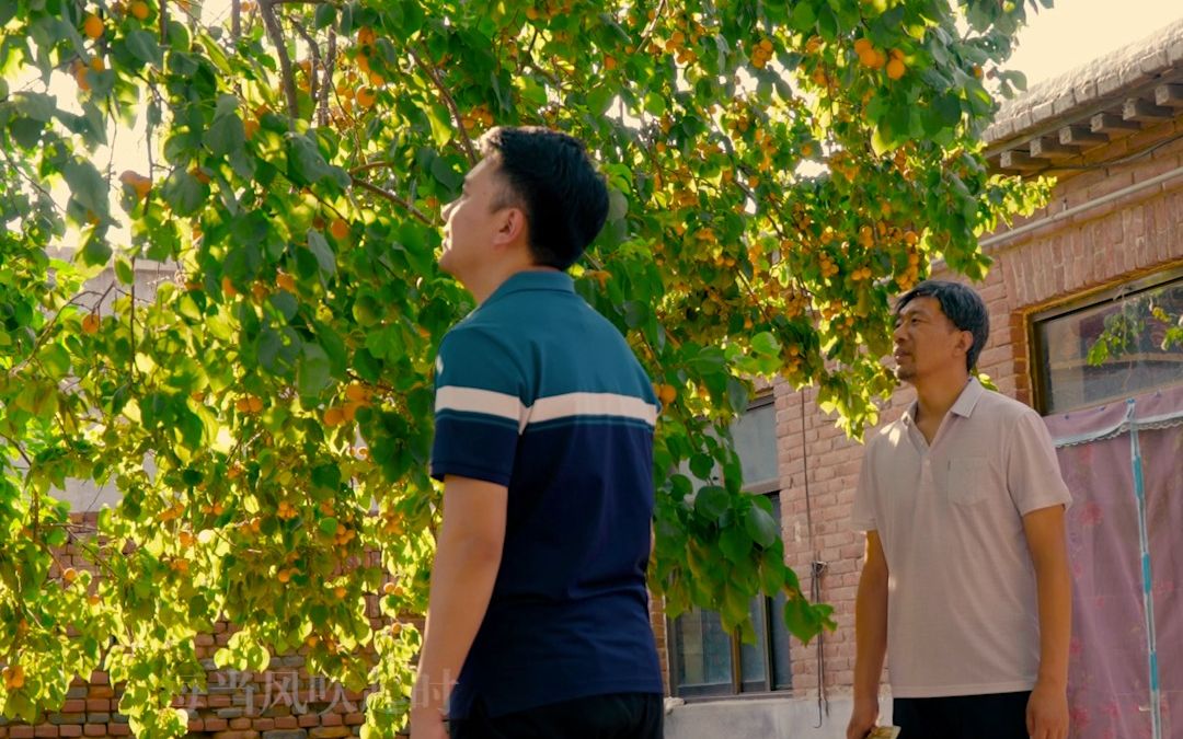 每当风吹起时，我总会遥望远方，我知道，那里有人在思念我 故事叔 故事叔 哔哩哔哩视频