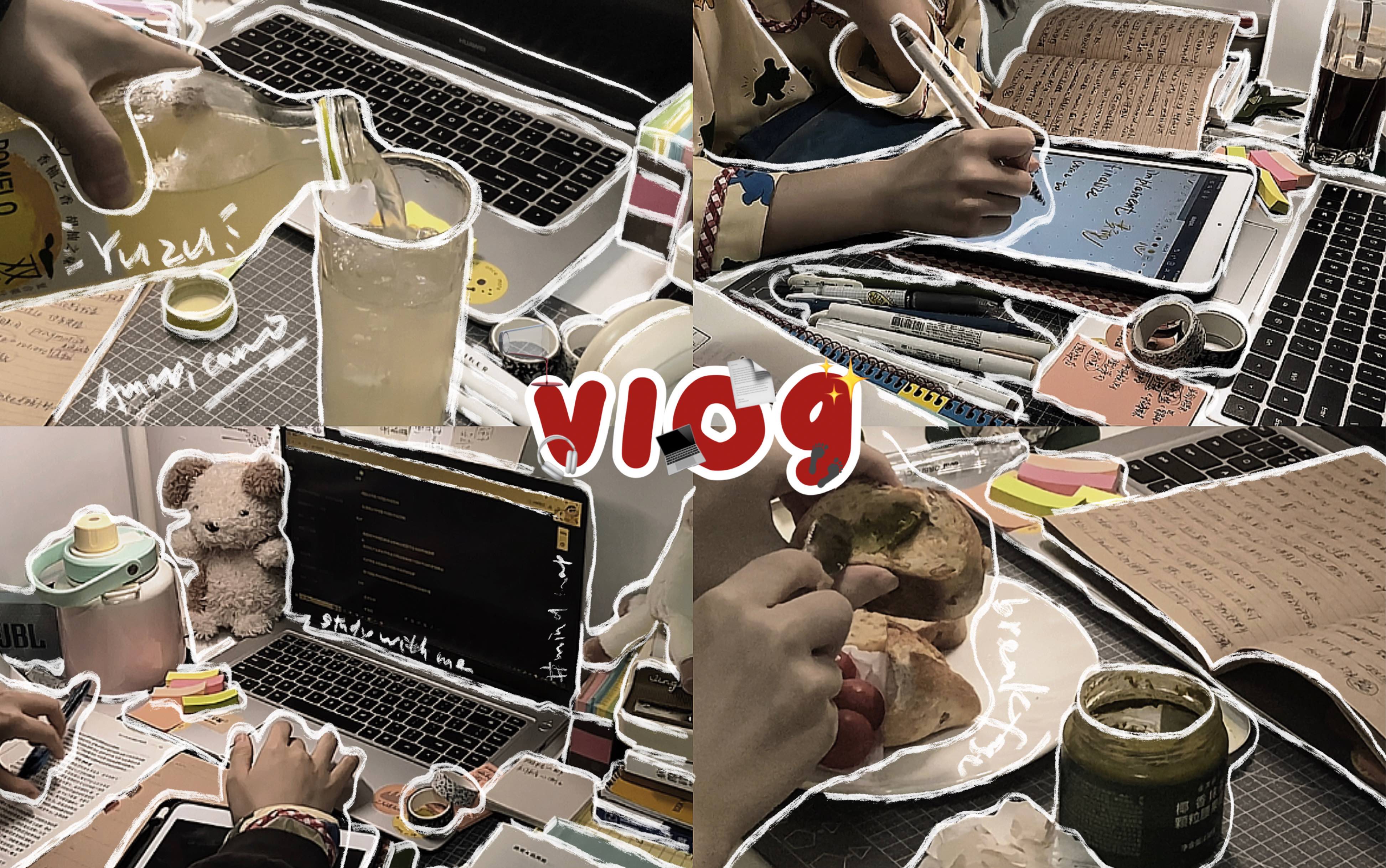 study vlog🫗一天8h+备考记录 ️顺利熬过一轮🥲自制柚c美式🙌🏻宅家日常｜学习浓度% 高效•动力向｜study with me-33s_dayday-33s_dayday-哔哩哔哩视频