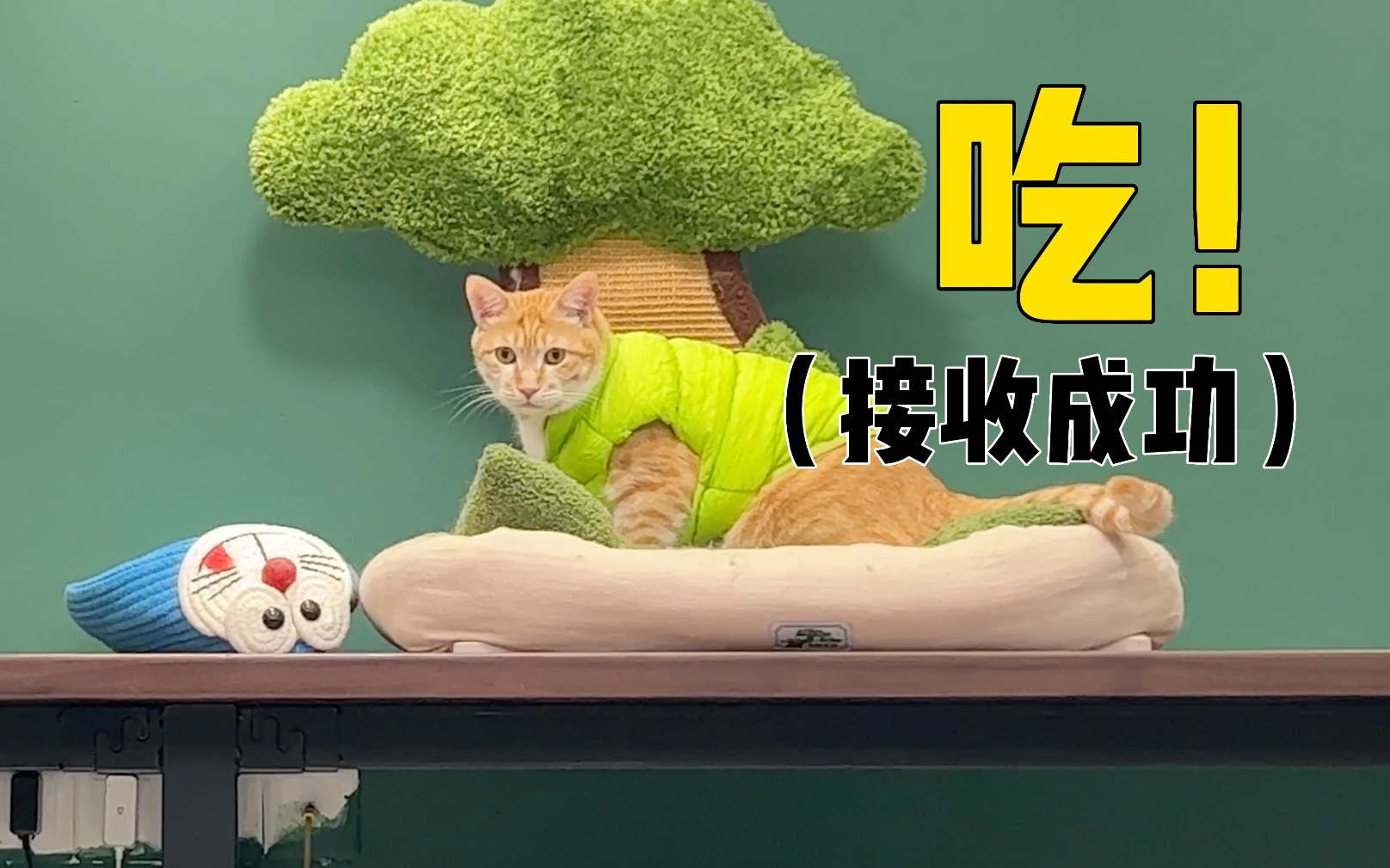 啥家庭啊吃完就拉？-蛋妈家DMJ-蛋妈家DMJ-哔哩哔哩视频