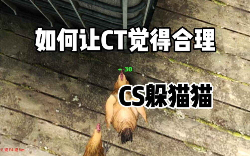 CSGO躲猫猫：直接藏CT老家。-禹辰OvO-禹辰OvO-哔哩哔哩视频