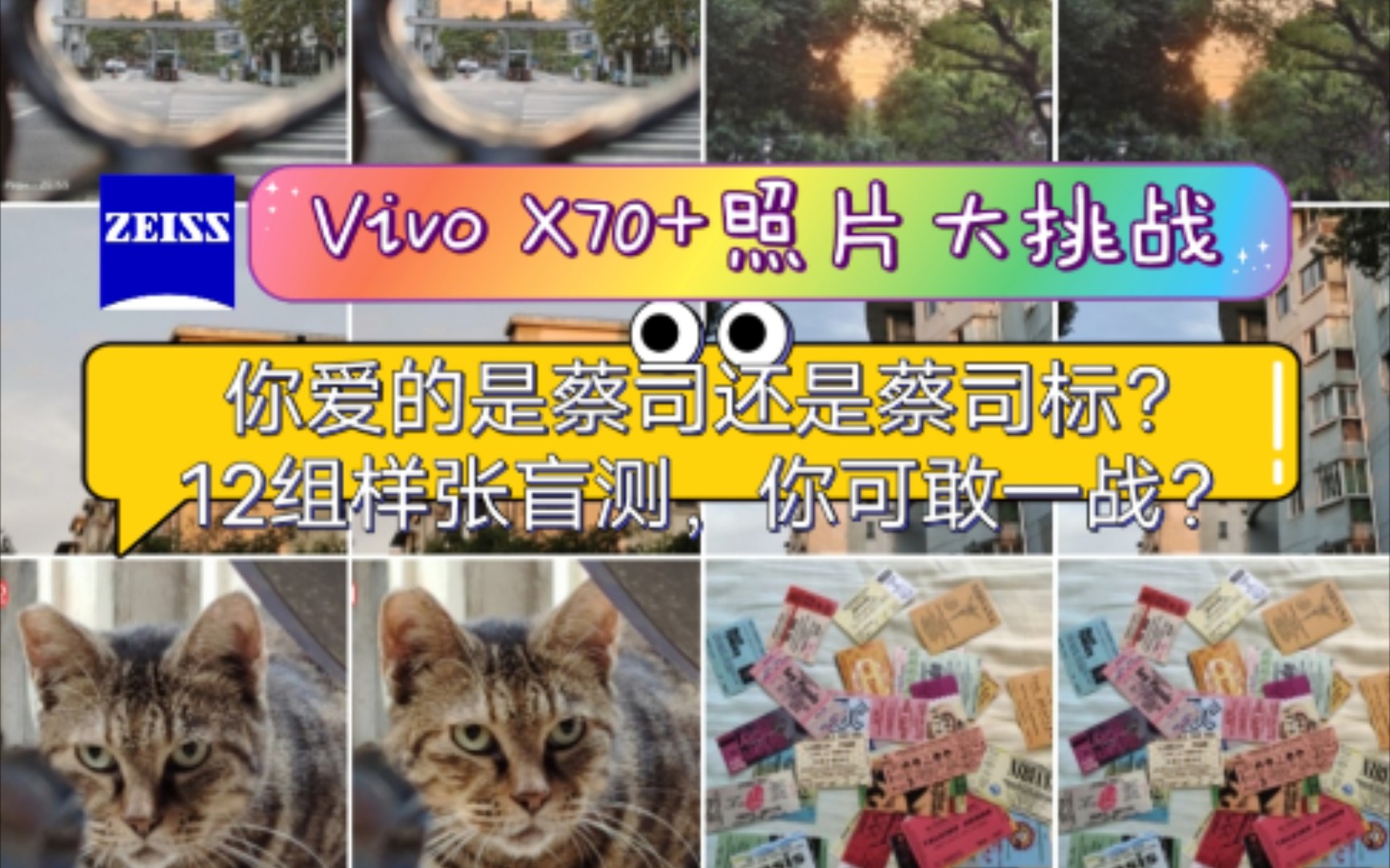X70 Pro+蔡司自然色12组照片盲测，你可敢一战？看你是真爱蔡司色还是被那小蓝标洗了脑。_哔哩哔哩_bilibili