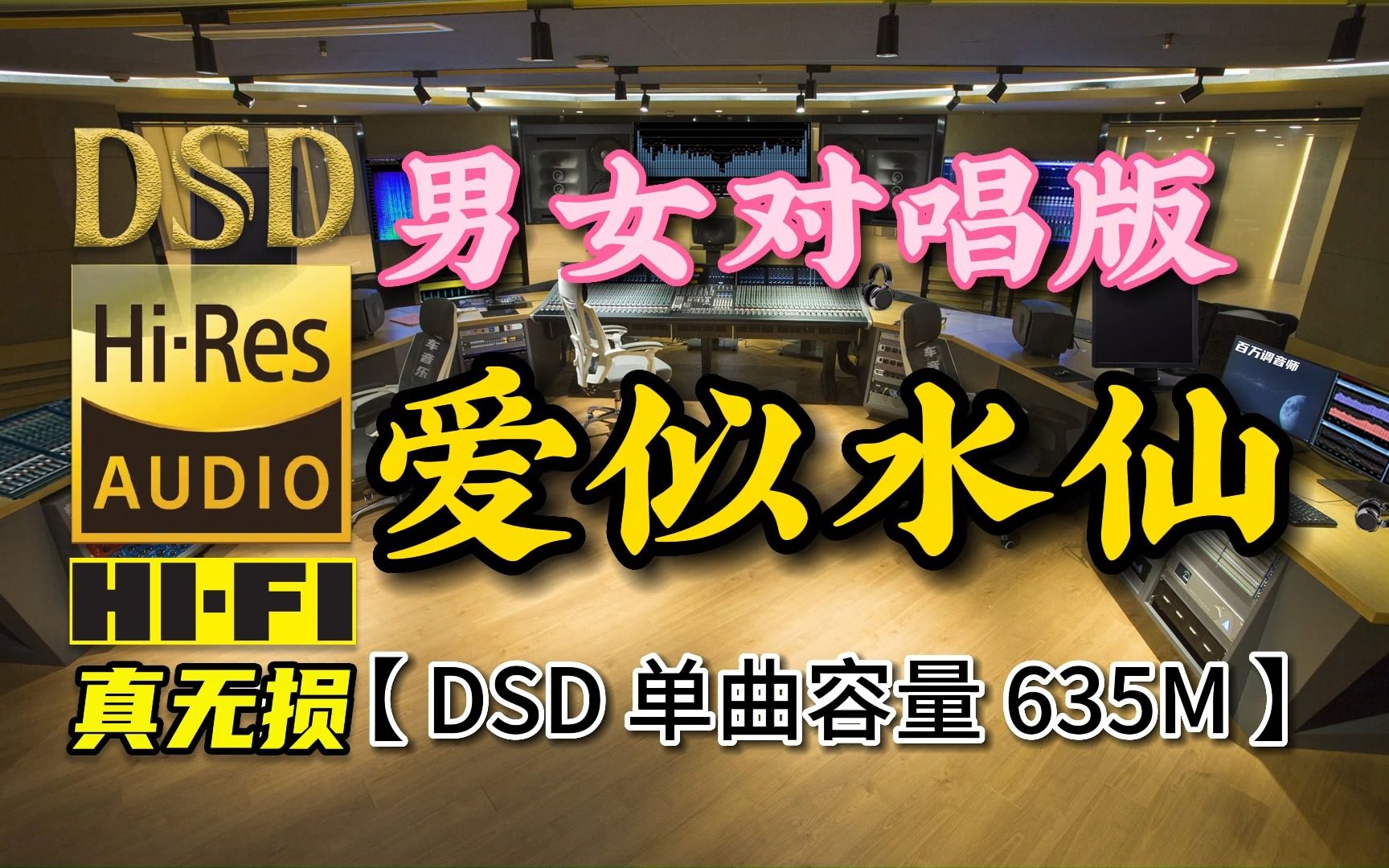 烟嗓版男女对唱《爱似水仙》DSD完整版，单曲容量635M【30万首精选真正DSD无损HIFI音乐，百万调音师制作】-车音乐_百万调音师-车音乐_百万调音师-哔哩哔哩视频