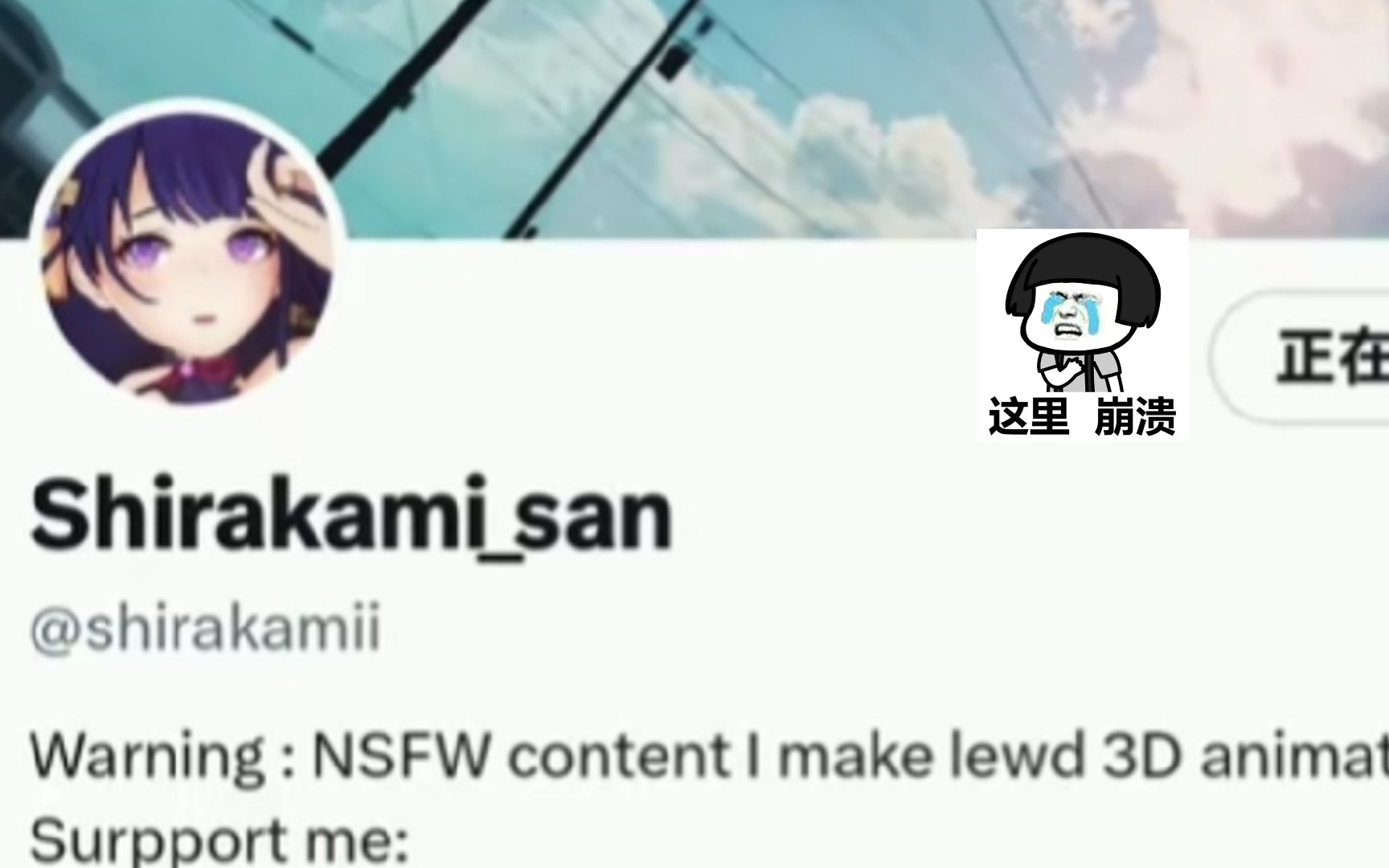 Shirakami大佬遗产全作品合集【15.6G】