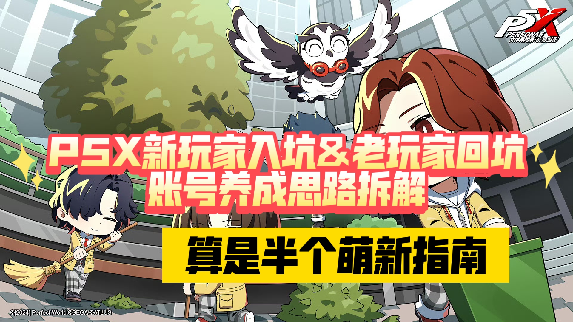 P5X萌新入坑/老玩家回坑账号养成思路拆解/如何一步一步实现轻松完成战斗玩法-言白要坚持-言白要坚持-哔哩哔哩视频