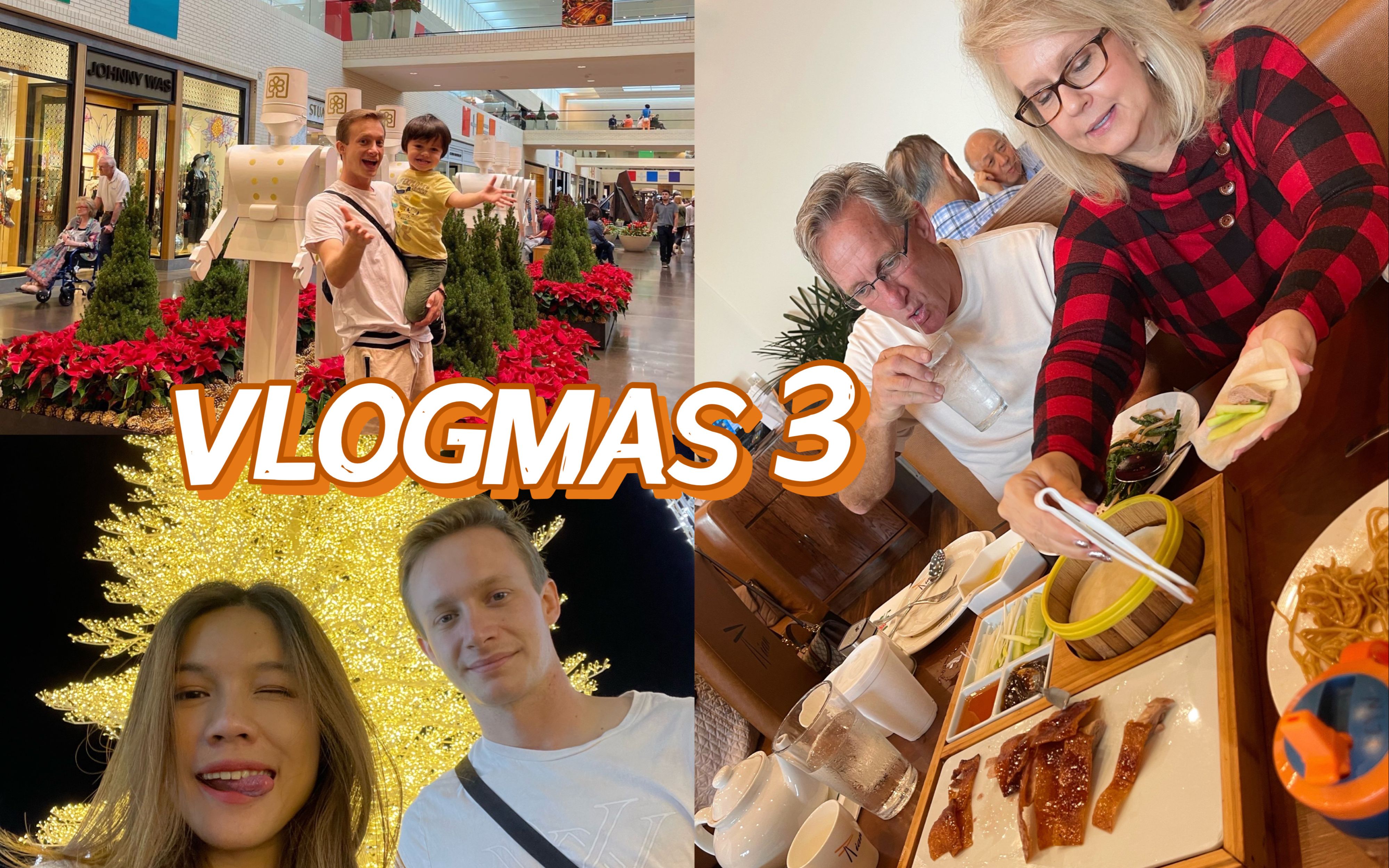 公婆来找我们玩啦！带他们吃北京烤鸭｜孕期馋什么？-hellotina陈甜甜-hellotina陈甜甜-哔哩哔哩视频