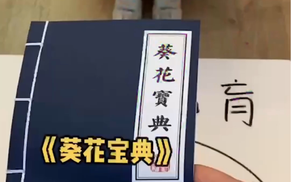 我家猫为了不绝育也是拼了 马也不也 马也不也 哔哩哔哩视频