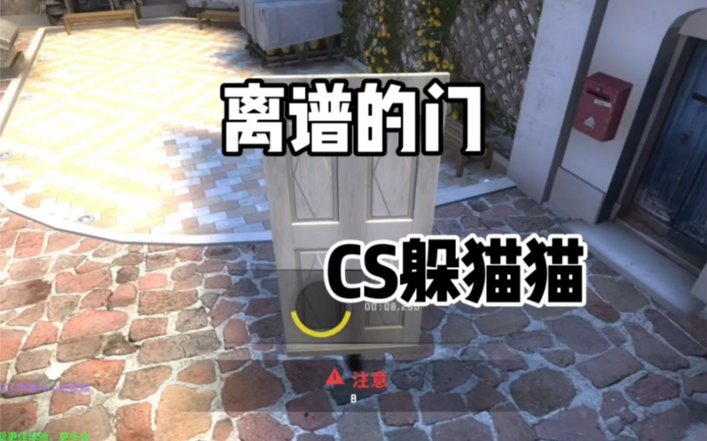 CSGO躲猫猫：离谱的门-禹辰OvO-禹辰OvO-哔哩哔哩视频