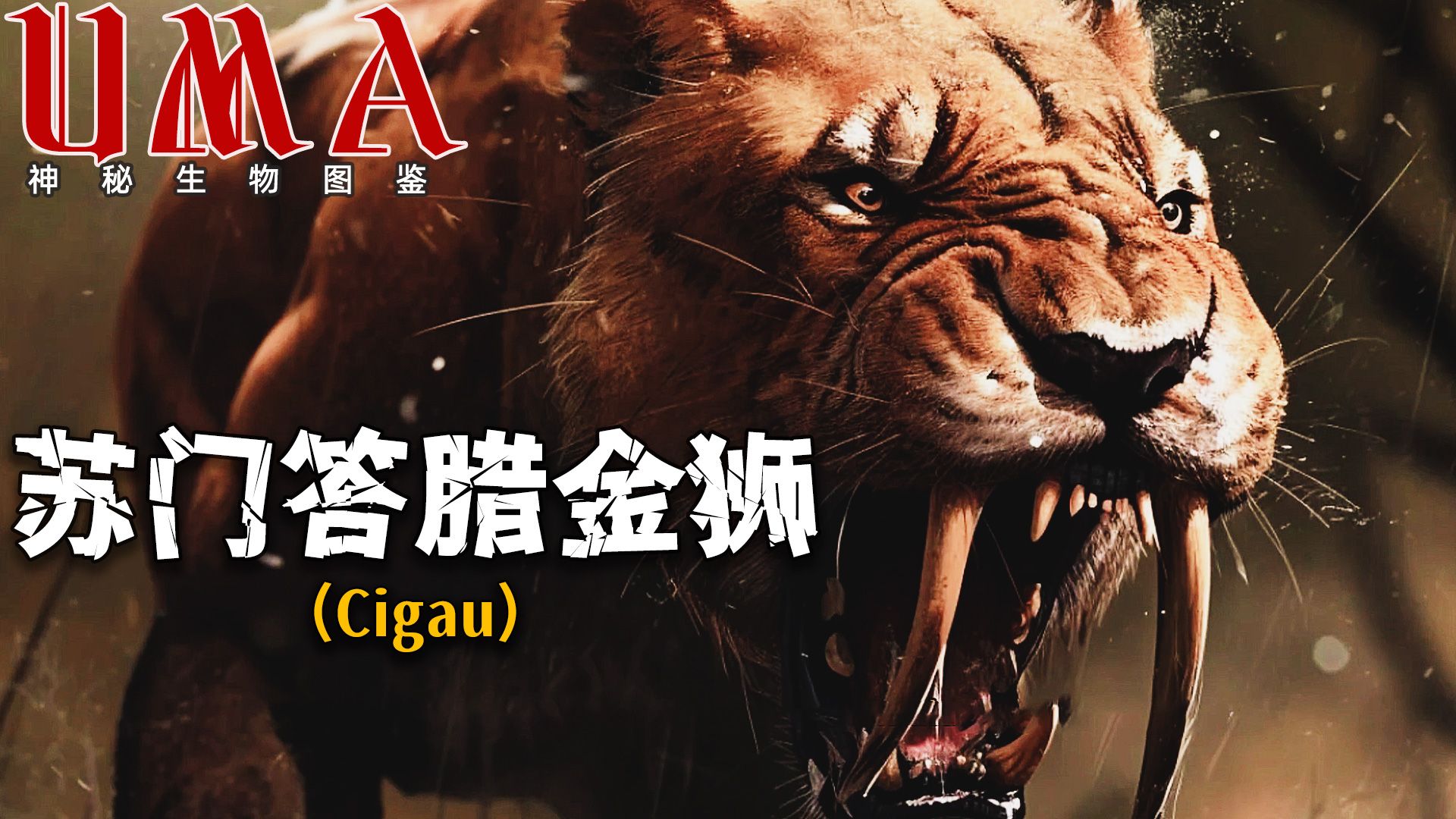 【UMA】1万年前已灭绝生物在苏门答腊复活？当地村民建特殊高脚屋抵御"金色死神"！未确认生物图鉴-迷踪谜-迷踪谜-哔哩哔哩视频