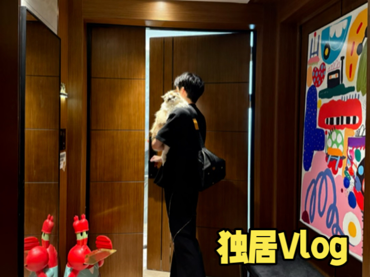 Vlog|00后独居290㎡日常-懂精致的集帅小木-懂精致的集帅小木-哔哩哔哩视频