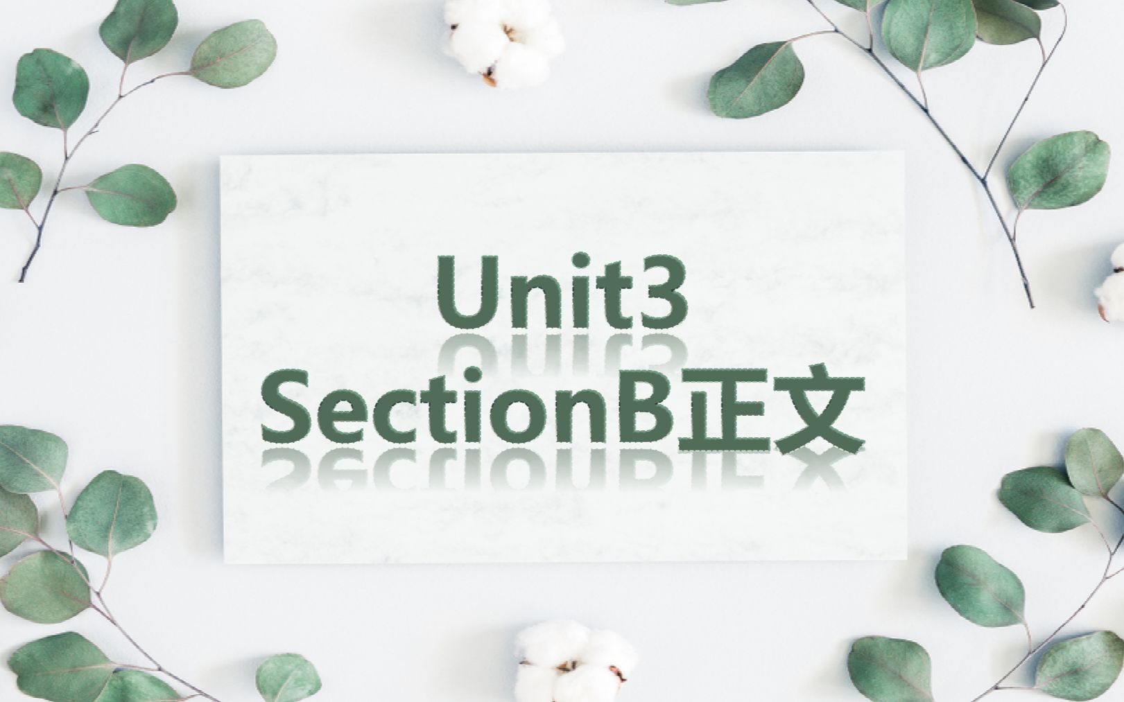 Unit3 SectionB正文_哔哩哔哩_bilibili