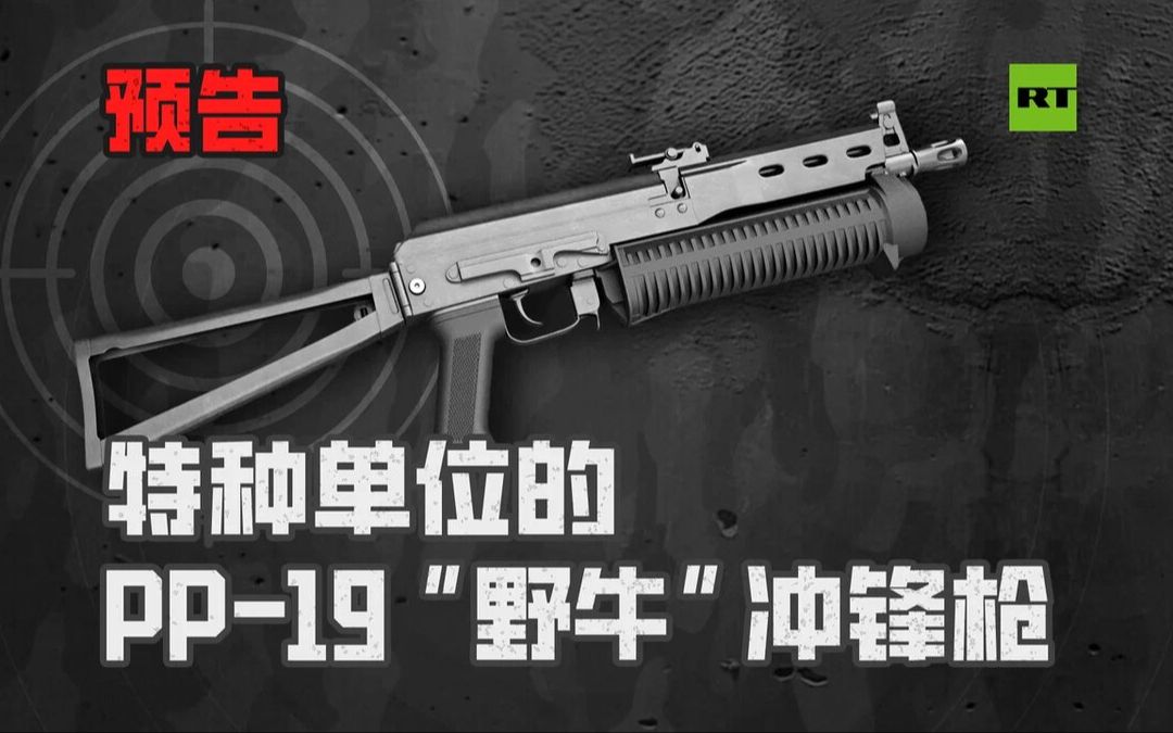 [预告] 冲锋枪PP-19“野牛”测评！-神枪手请就位-神枪手请就位-哔哩哔哩视频