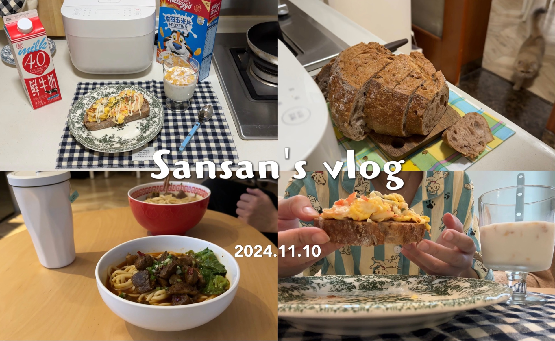 Sansan's vlog|日常碎片们|闺蜜来家里吃晚餐|核桃欧包|继续草莓花生酱三明治|妈妈牌红烧牛肉做的牛肉面|囤拉面|在家悠闲写手帐-大野三三-大野三三-哔哩哔哩视频