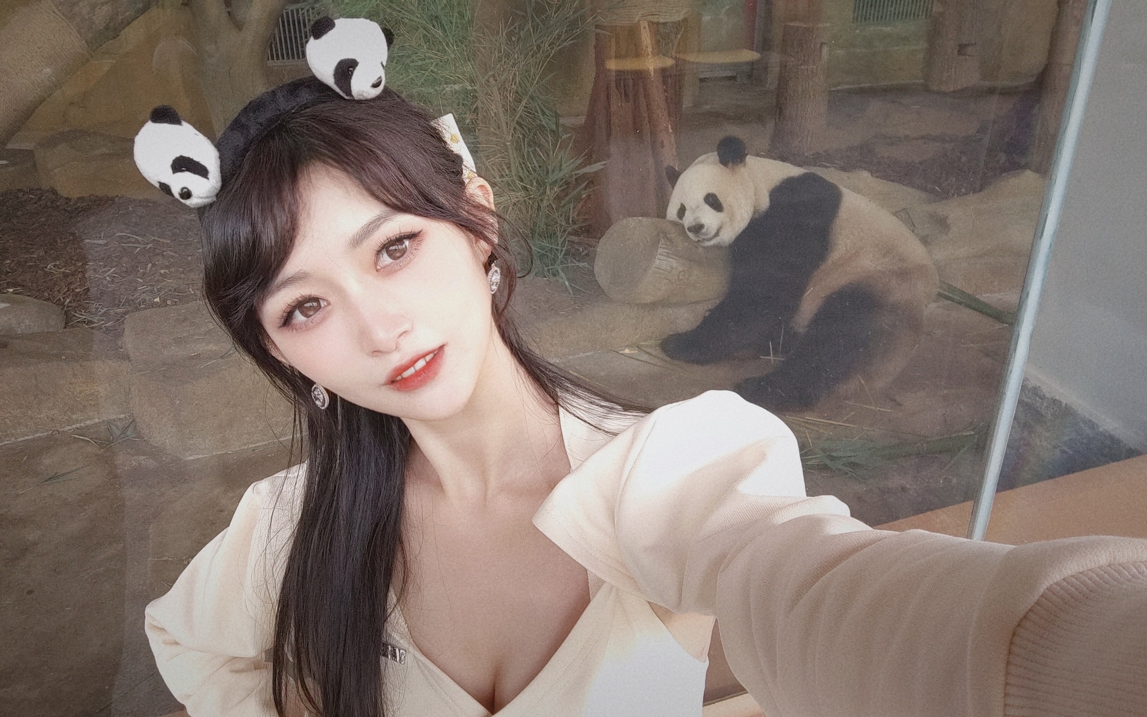 如何吸引大熊猫的注意力,跳舞可以吗?在线等挺急的 庭树沐年 庭树沐年 哔哩哔哩视频