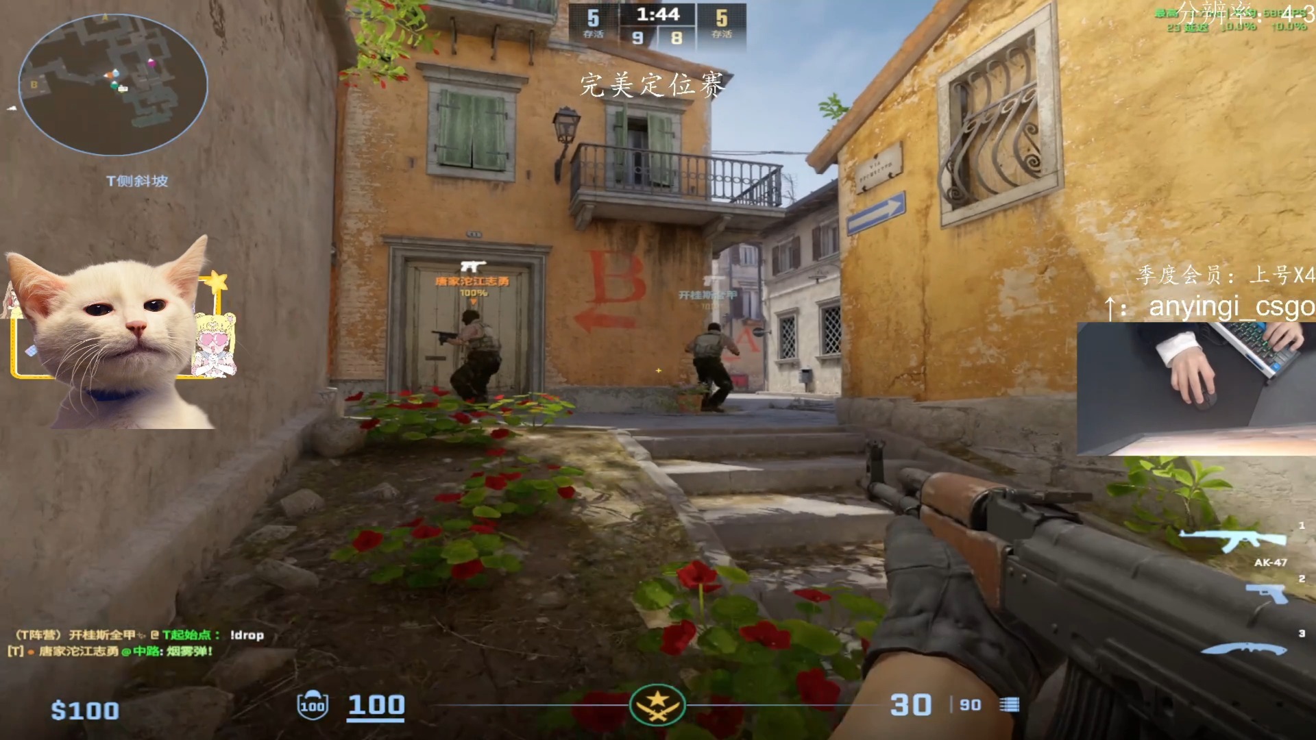 我知道你们喜欢这个-Anyingi_Csgo-Anyingi_Csgo-哔哩哔哩视频