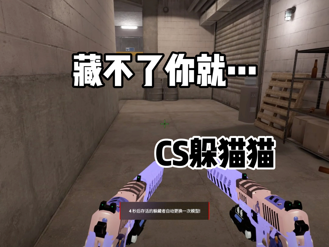 CS2躲猫猫:自古老T不抬头？-禹辰OvO-禹辰OvO-哔哩哔哩视频