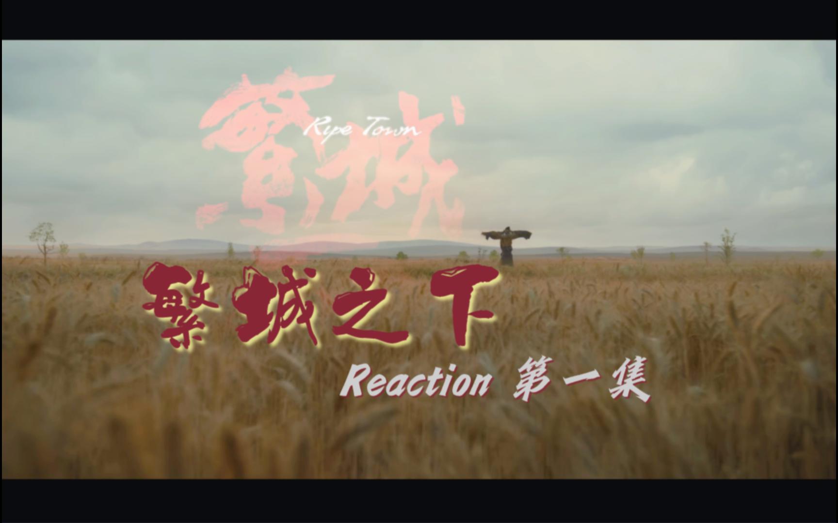 花海几束【繁城之下reaction】01-花海几束-花海几束-哔哩哔哩视频