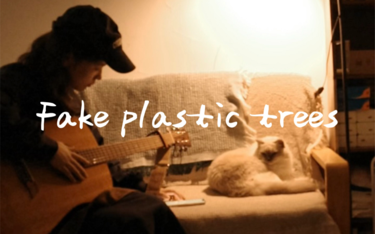 Fake plastic trees（Cover Radiohead）-Himmerse-Himmerse-哔哩哔哩视频