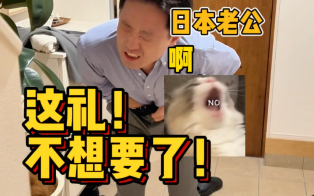 还是想不通为啥没盒子？？？😑我家猫也是一绝 村井钩子 村井钩子 哔哩哔哩视频