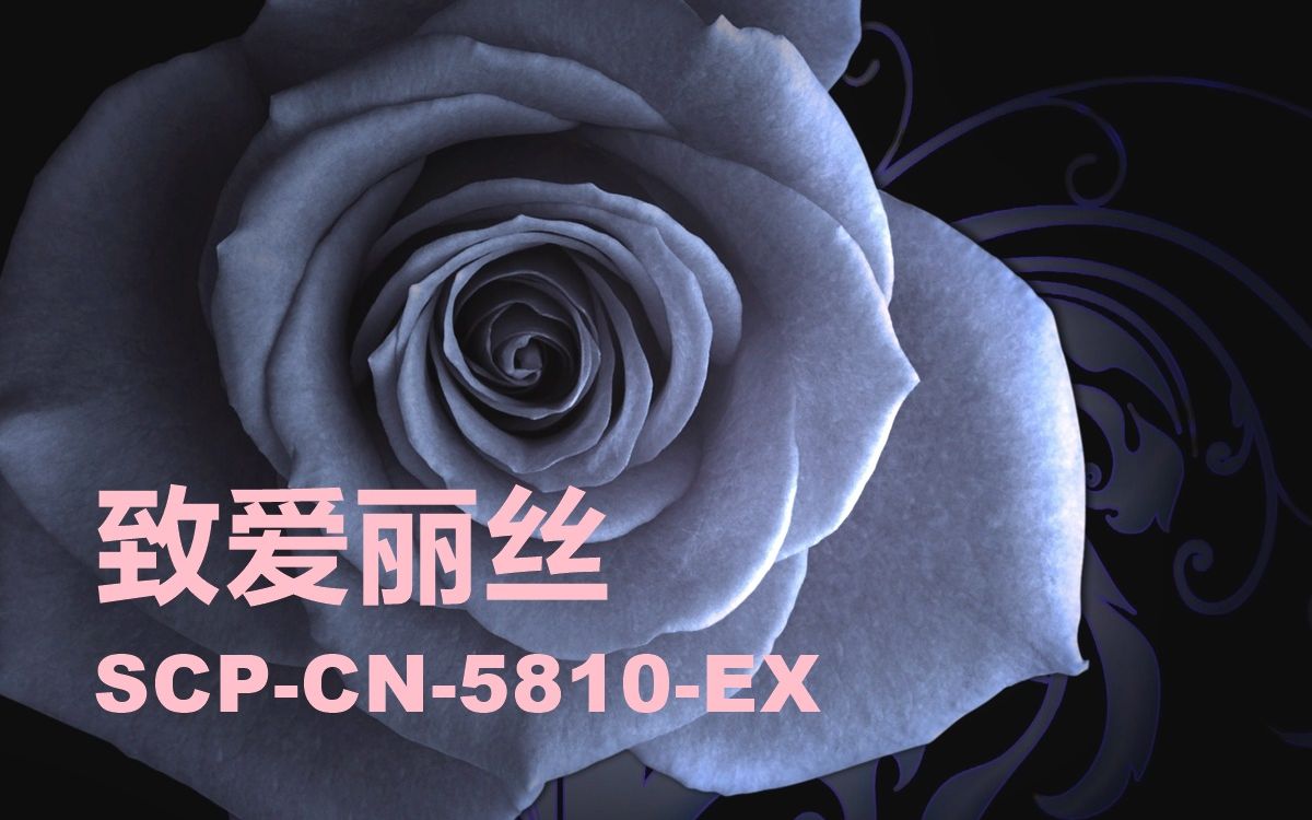 SCP-CN-5810-EX - 致爱丽丝-星星胖头鱼-星星胖头鱼-哔哩哔哩视频