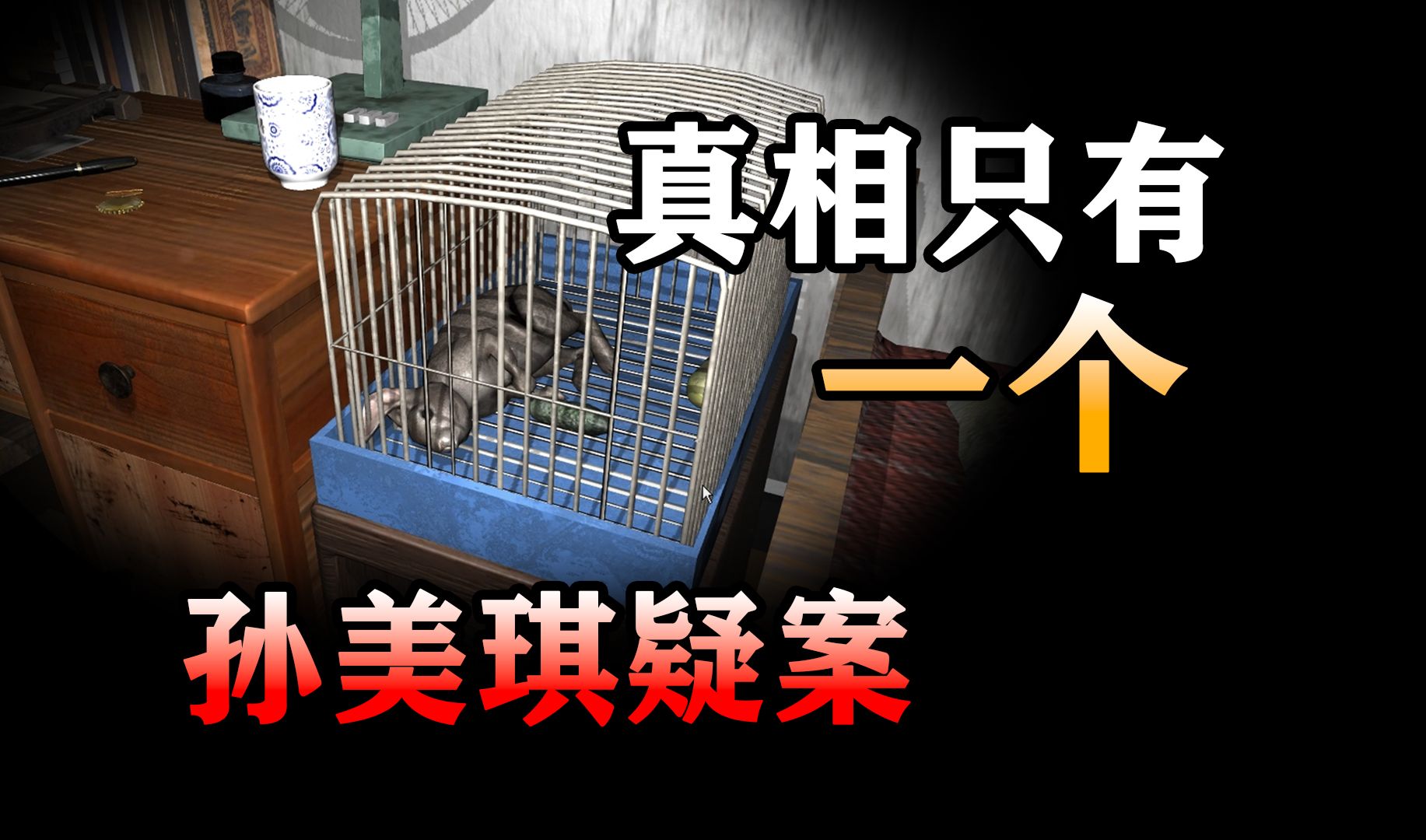 刑警沉迷办案遭遇鬼打墙?真相只有一个!【孙美琪疑案】第二季 海轩大总统 海轩大总统 哔哩哔哩视频