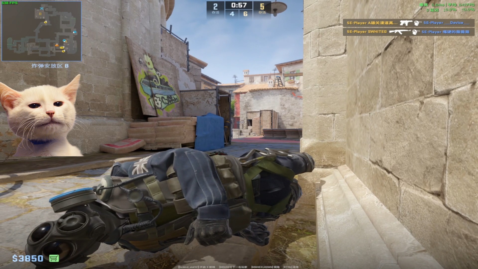 5 5 1-Anyingi_Csgo-Anyingi_Csgo-哔哩哔哩视频