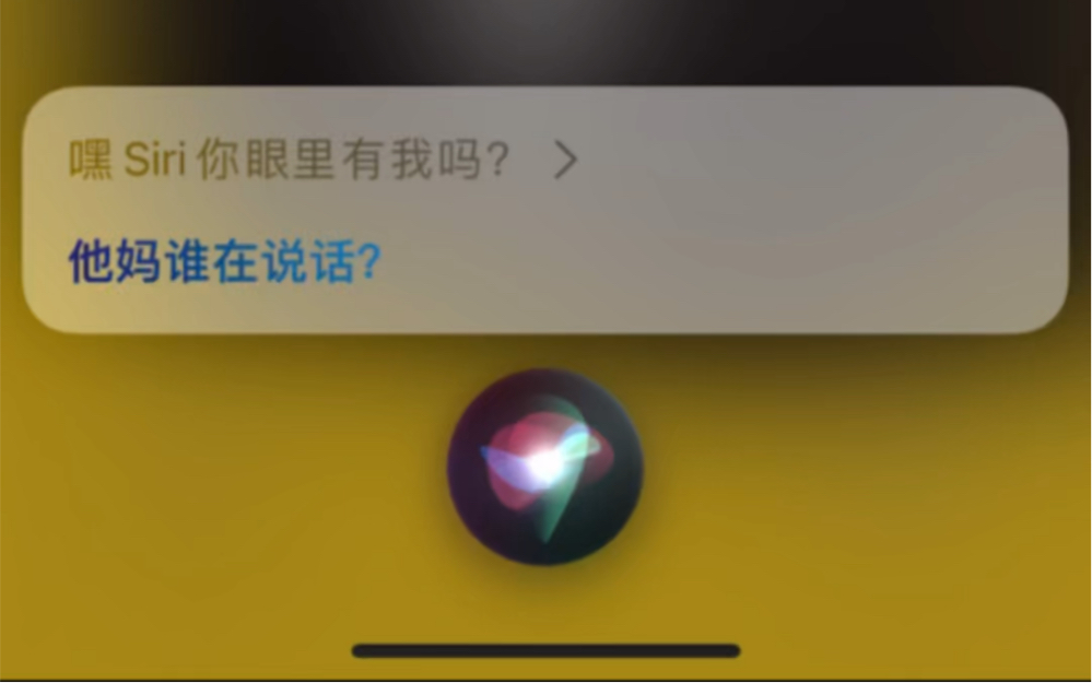 嘿Siri 你眼里有我吗？-嘿Siri我叫臻同学-嘿Siri我叫臻同学-哔哩哔哩视频