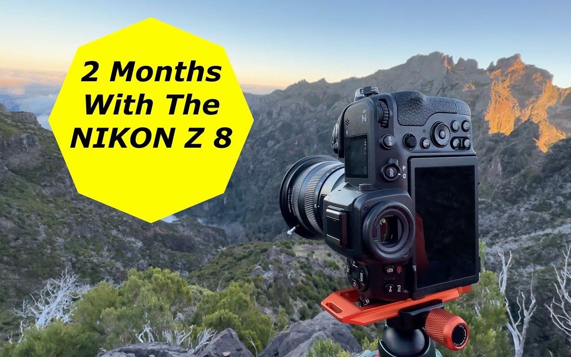 尼康Z8相机上手评测 | 样张 | 对焦 | 大小对比