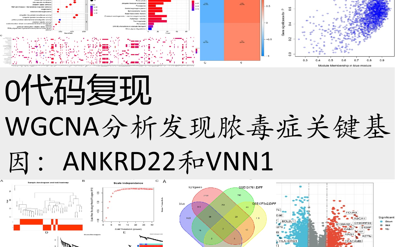 0代码复现：WGCNA分析发现脓毒症关键基因：ANKRD22和VNN1-SangerBox-SangerBox-哔哩哔哩视频