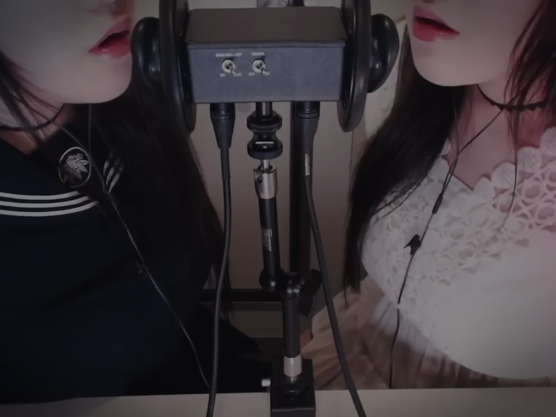 蝴蝶忍的甜蜜掏耳-12365863-默认收藏夹-哔哩哔哩视频