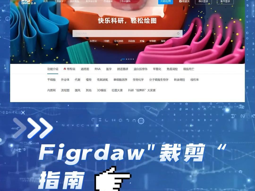 科研绘图|大家都在问的“裁剪”指南来啦~-Figdraw-Figdraw-哔哩哔哩视频
