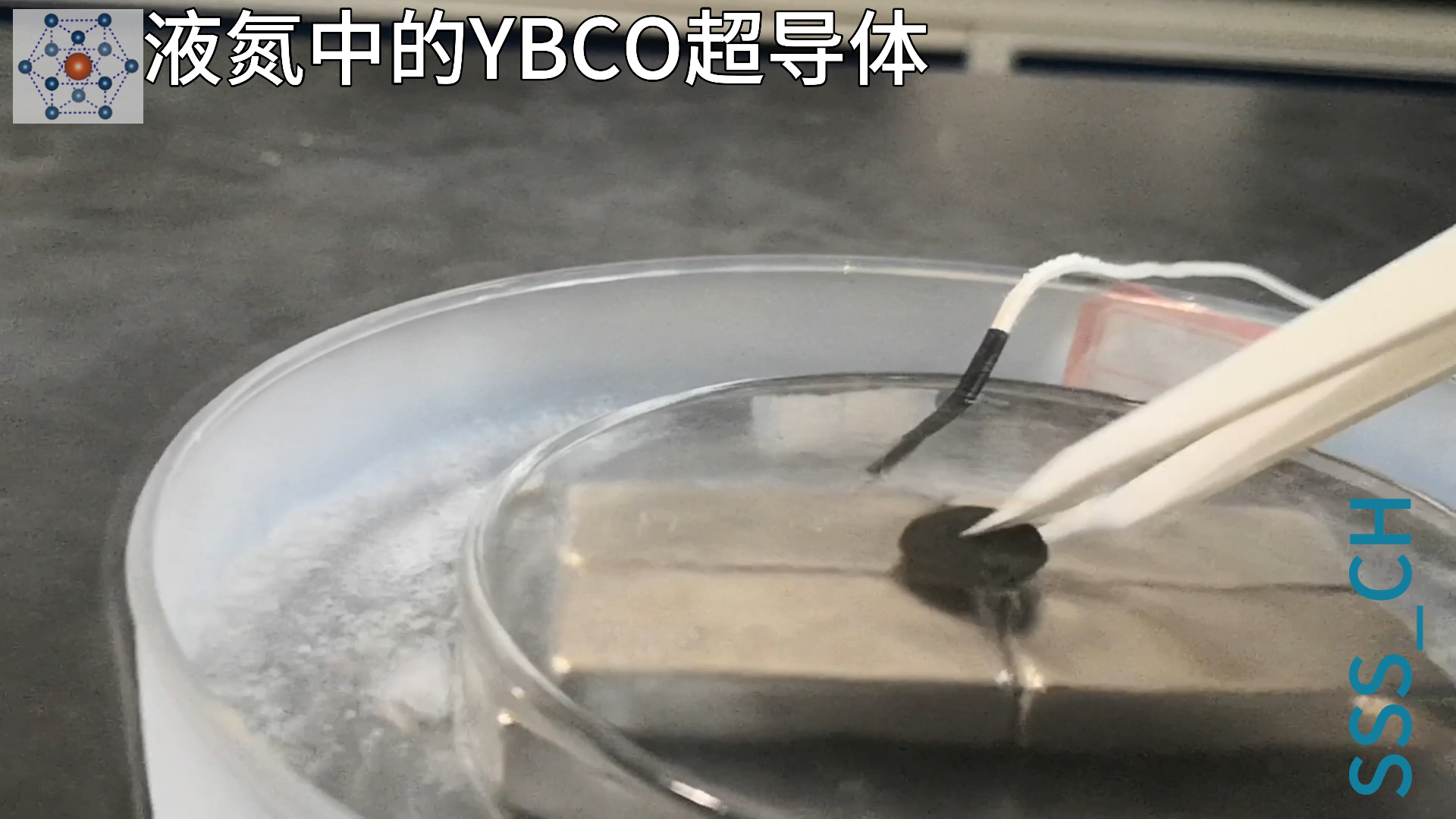 液氮中的YBCO超导体-行者OnMyWay-行者OnMyWay-哔哩哔哩视频