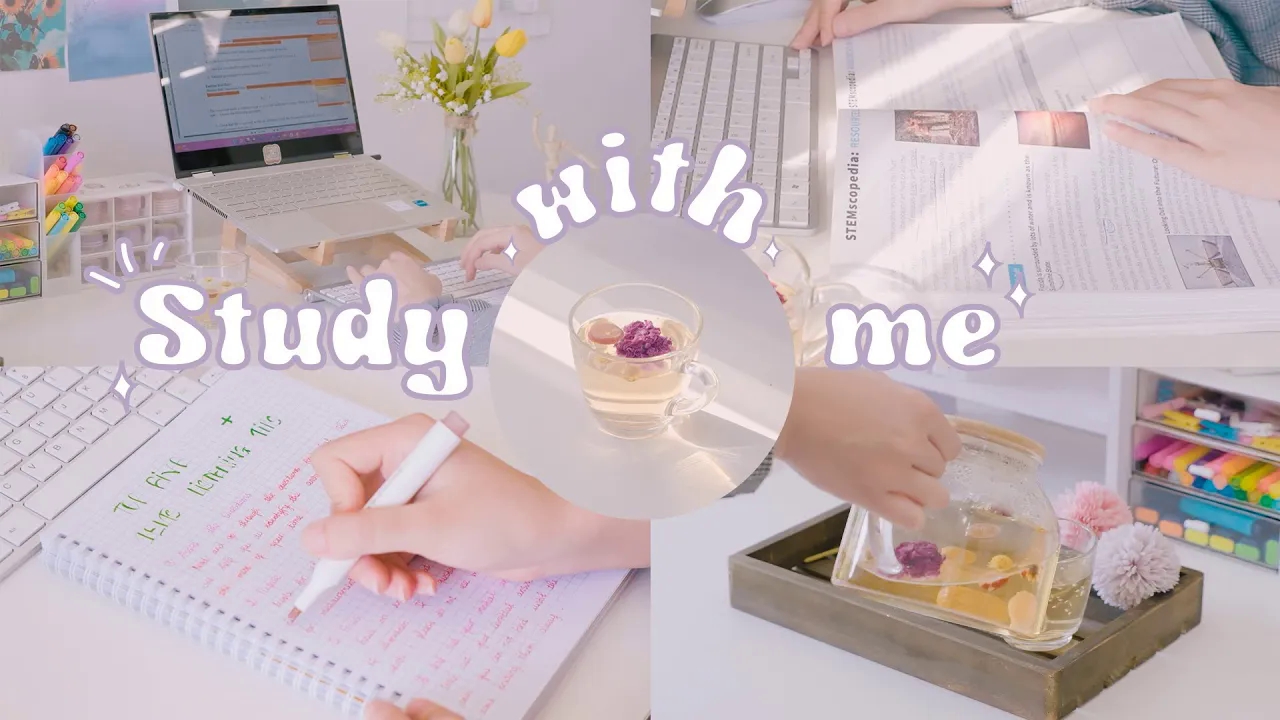 【搬运】Study with me｜和我学习4h｜钢琴曲｜居家学习｜番茄工作法25+5｜with music｜Niki study time_哔哩哔哩_bilibili